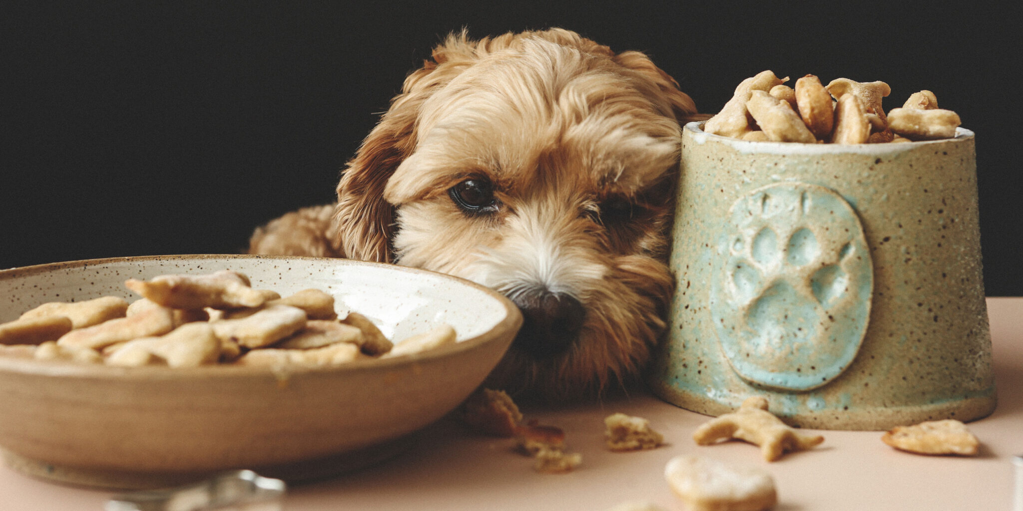 Biscuits maison pour chien au beurre d’arachides et à la banane ...